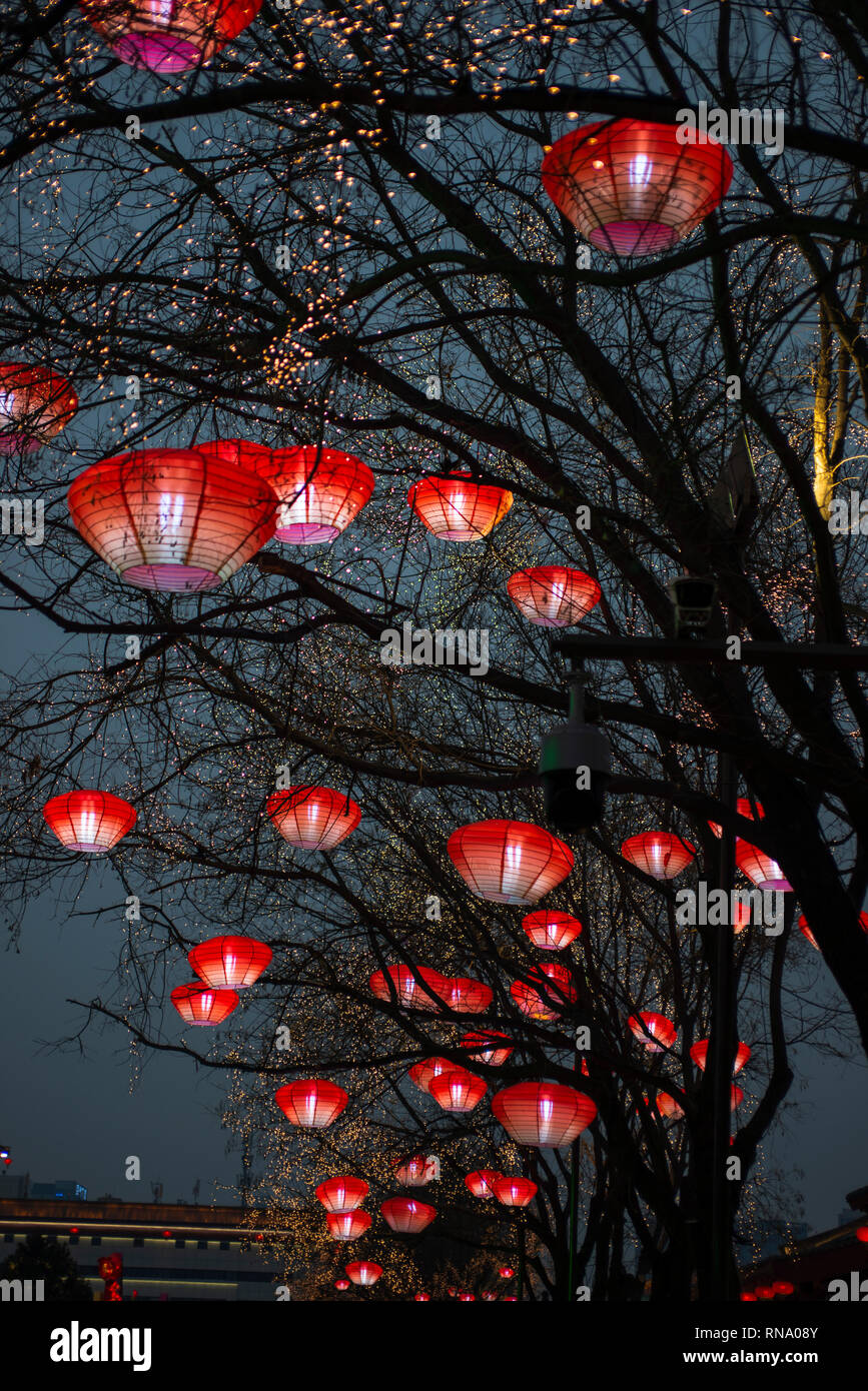 The lights on the tree, in xi 'an during the Spring Festival in China ...