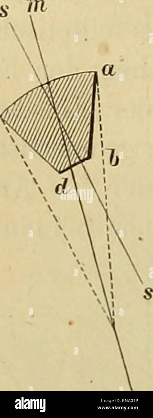 Anatomie Des Zahnes High Resolution Stock Photography and Images - Alamy