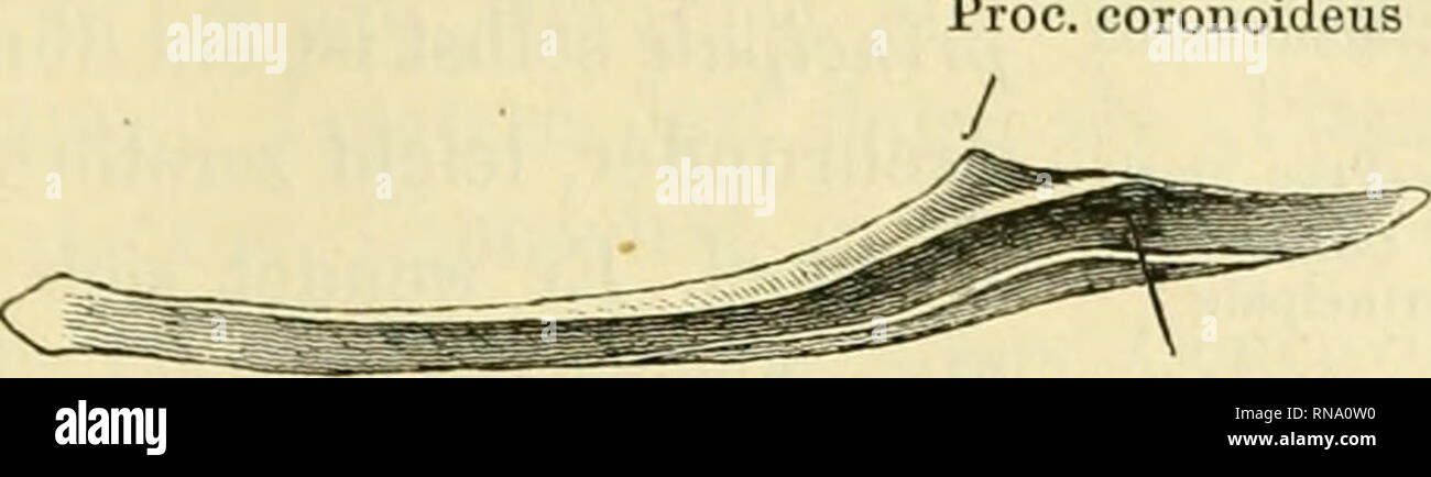 Von Meck Stock Photos & Von Meck Stock Images - Alamy