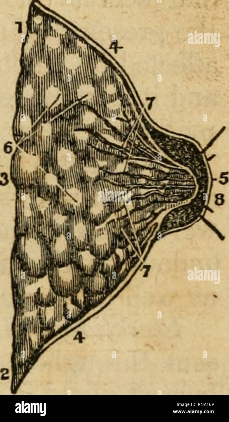 . An analytical compendium of the various branches of medical science ...
