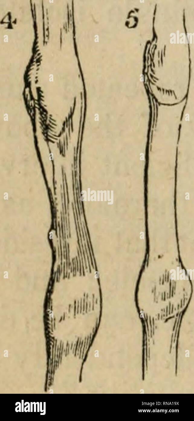 Rigor Mortis High Resolution Stock Photography and Images - Alamy