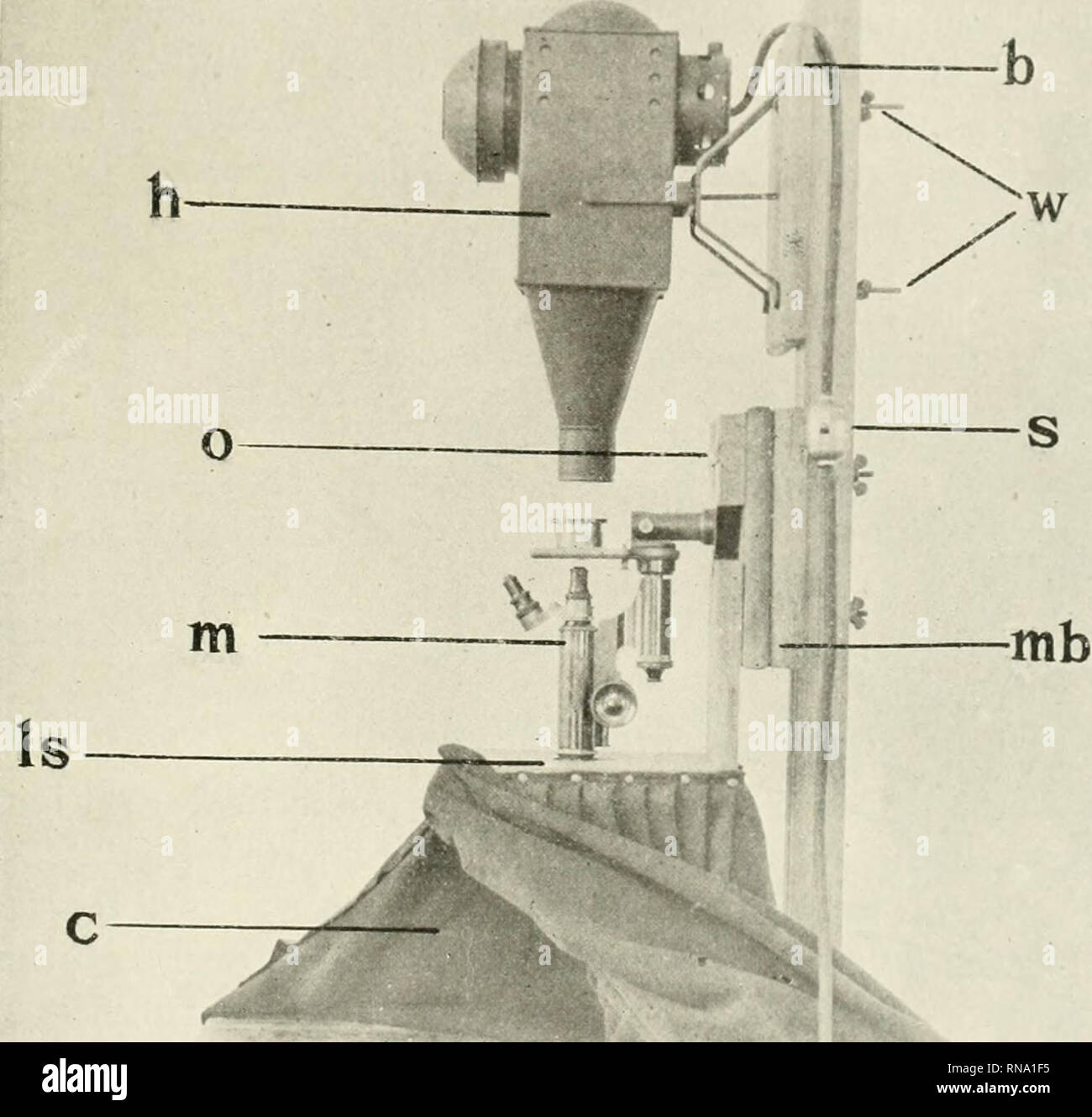 . The anatomical record. Anatomy; Anatomy. SOME LABORATORY NOTES 335 U ...