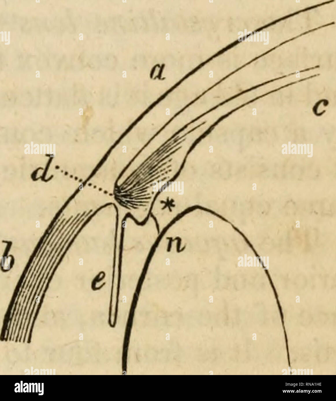 . An analytical compendium of the various branches of medical science ...