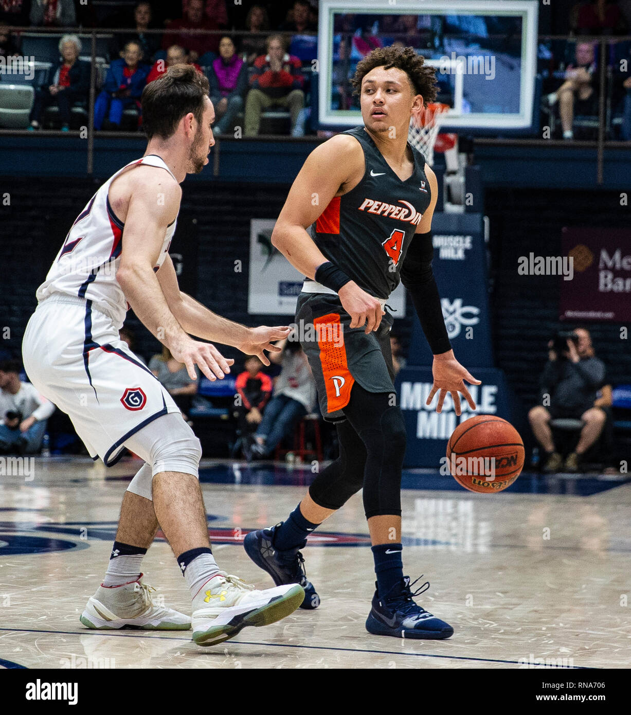 2019 161 jpg hi-res stock photography and images - Alamy