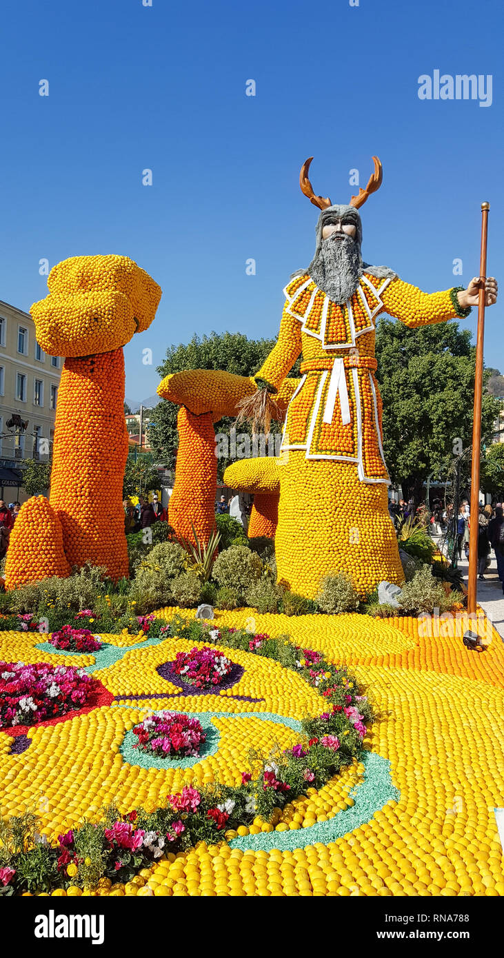 The citrus wizard hi-res stock photography and images - Alamy
