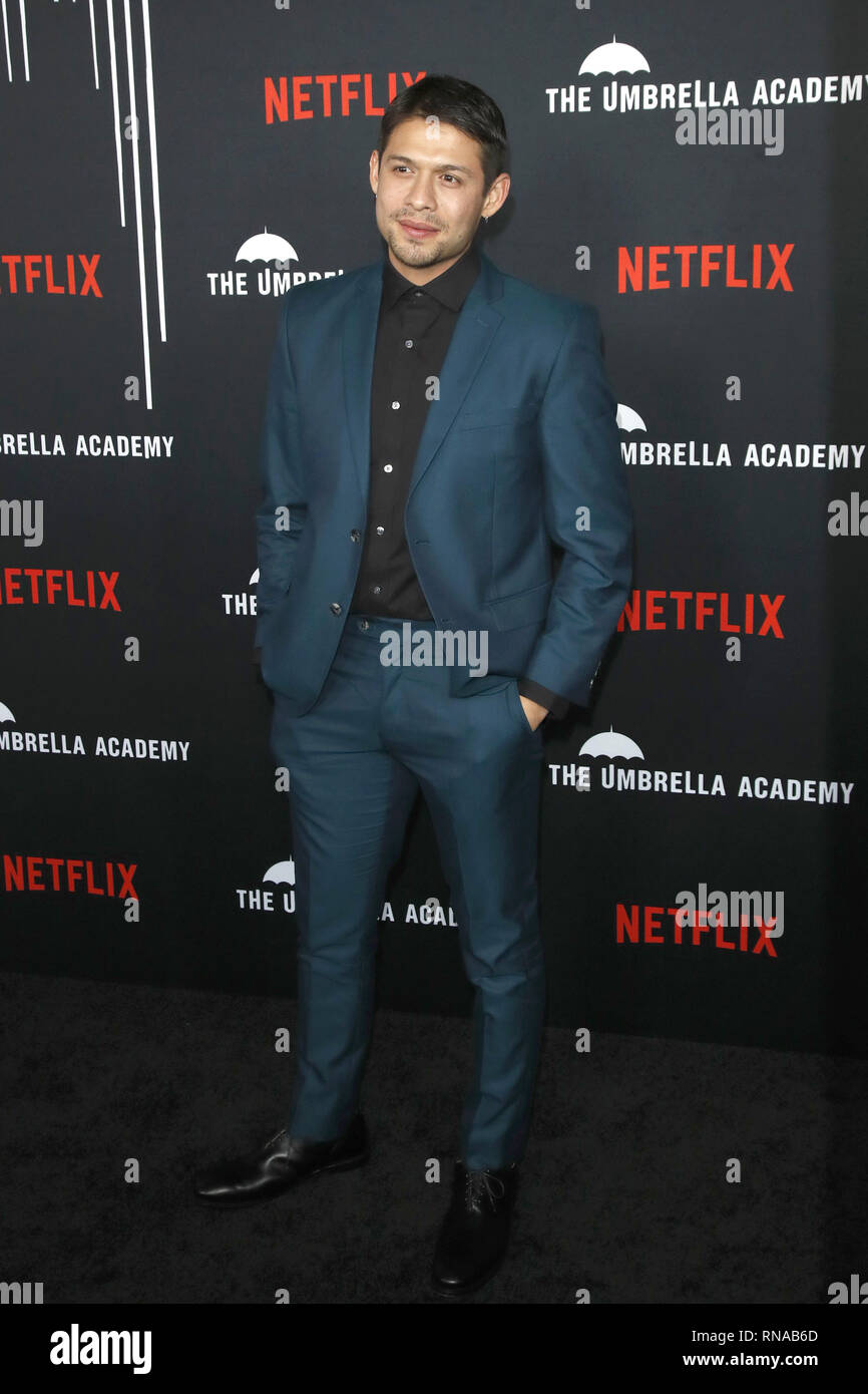 Los Angeles, CA, USA. 12th Feb, 2019. LOS ANGELES - FEB 12: David ...