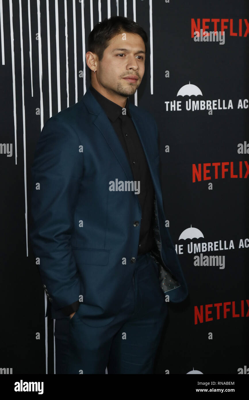 Los Angeles, CA, USA. 12th Feb, 2019. LOS ANGELES - FEB 12: David ...