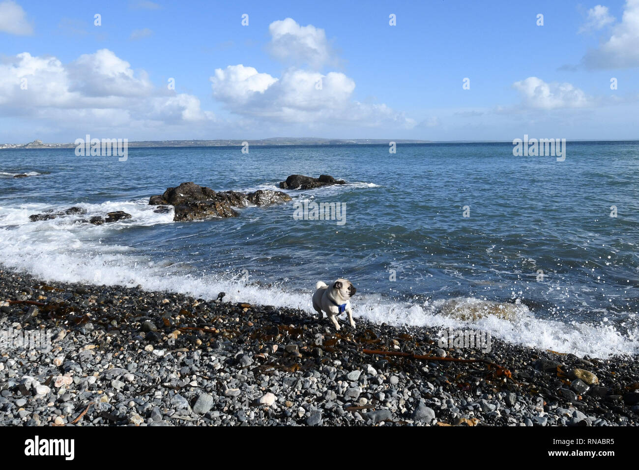 Mousehole, Cornwall, UK. 18th Feb, 2019. UK Weather. In the bright ...