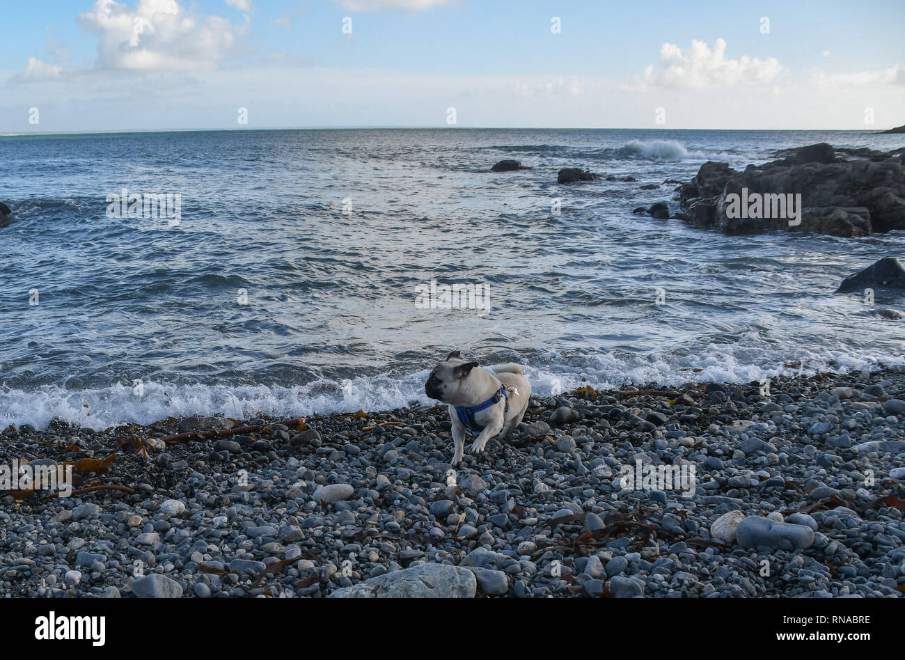 Mousehole, Cornwall, UK. 18th Feb, 2019. UK Weather. In the bright ...