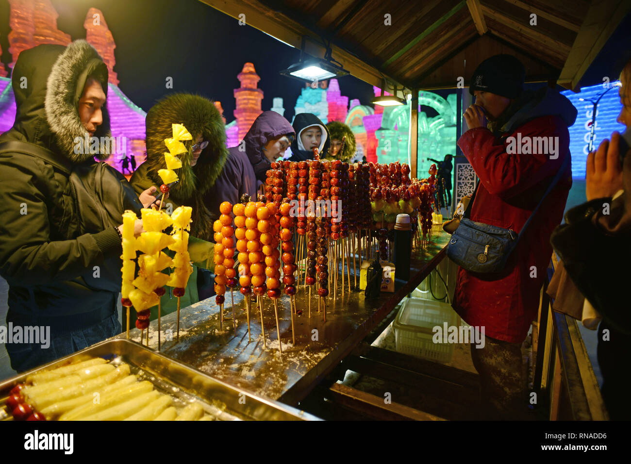 Harbin, Harbin, China. 18th Feb, 2019. Harbin, CHINA-Tourists flock to ...