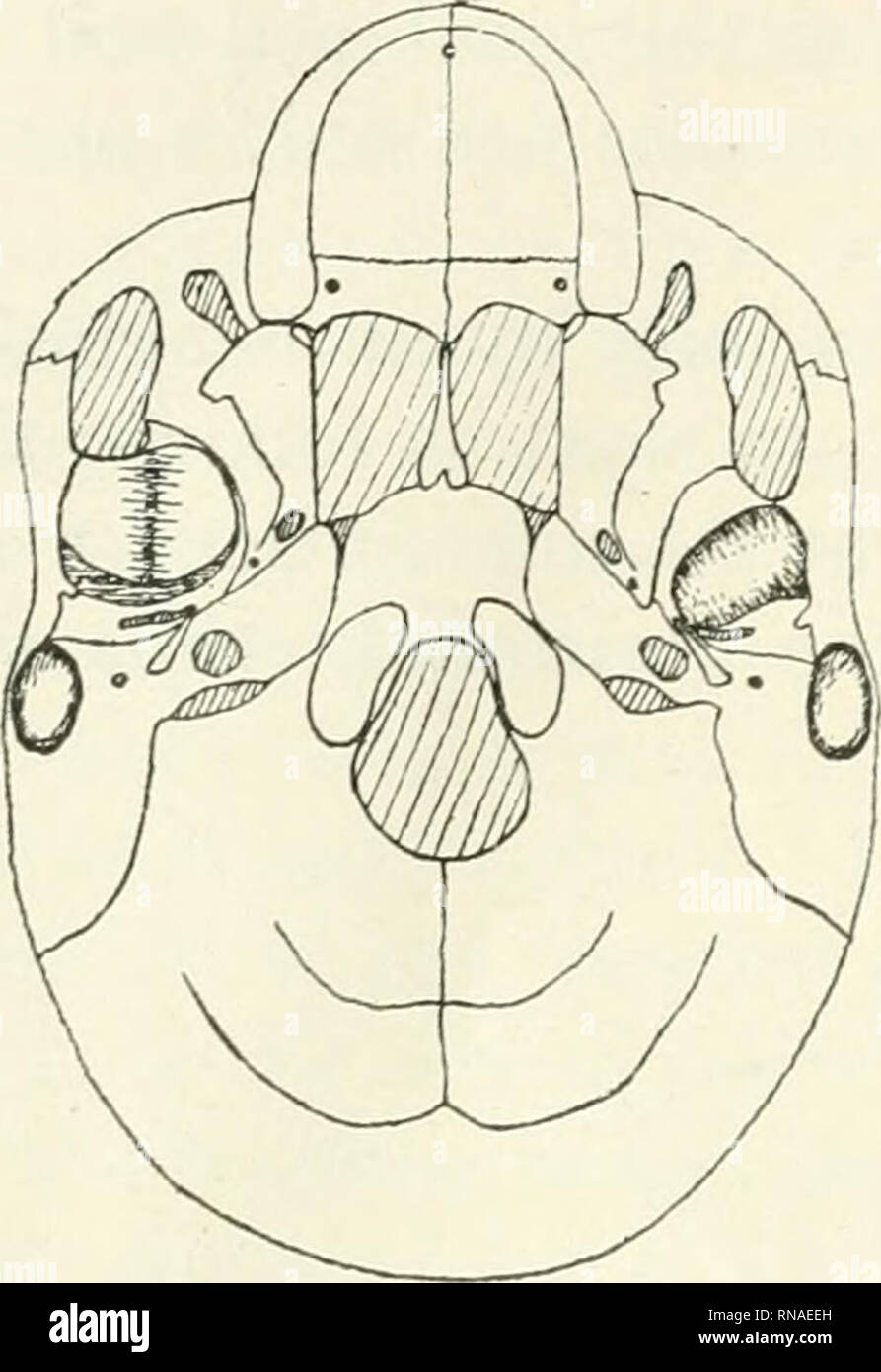 Lord edward russell hi-res stock photography and images - Alamy