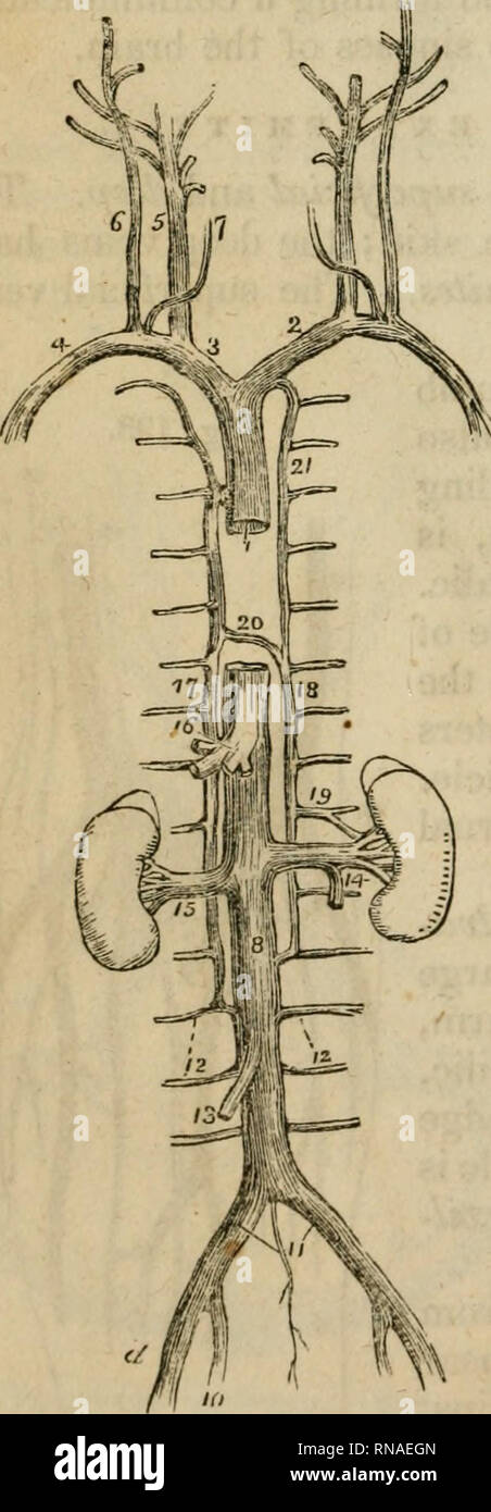 . An analytical compendium of the various branches of medical science ...