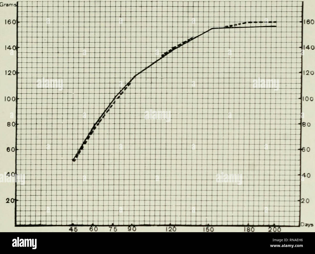 Rat ovary hi-res stock photography and images - Alamy