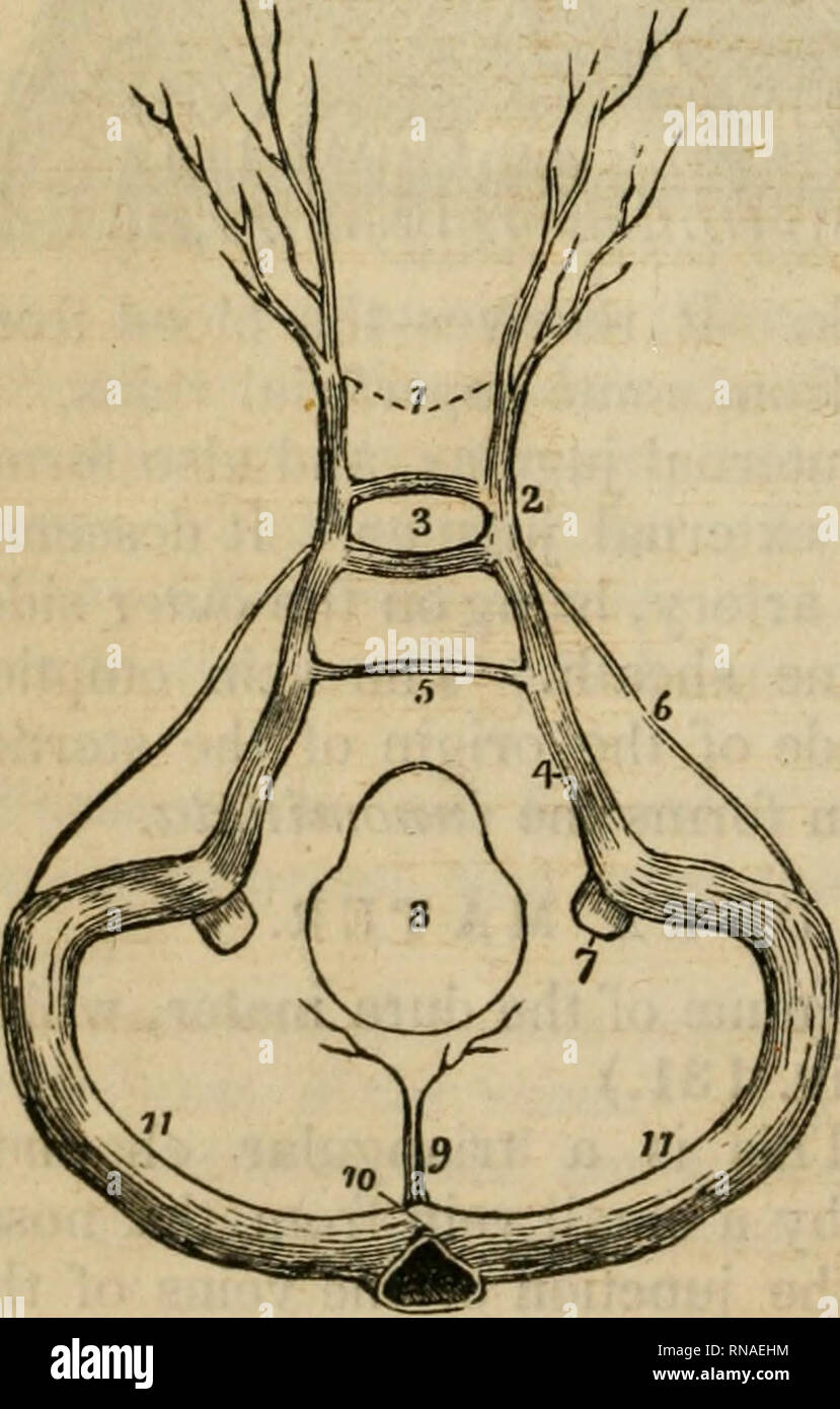 . An analytical compendium of the various branches of medical science ...