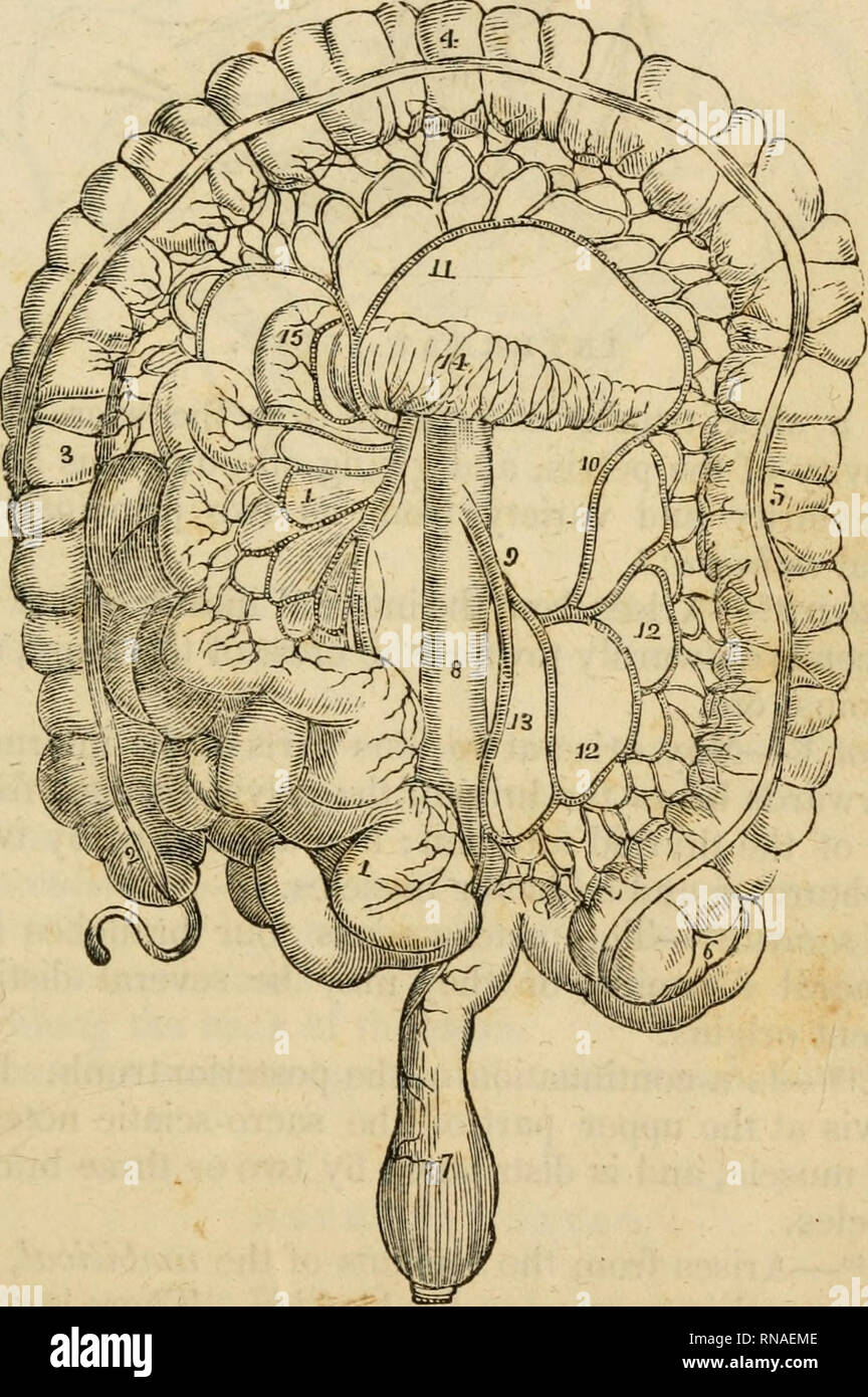 . An analytical compendium of the various branches of medical science ...
