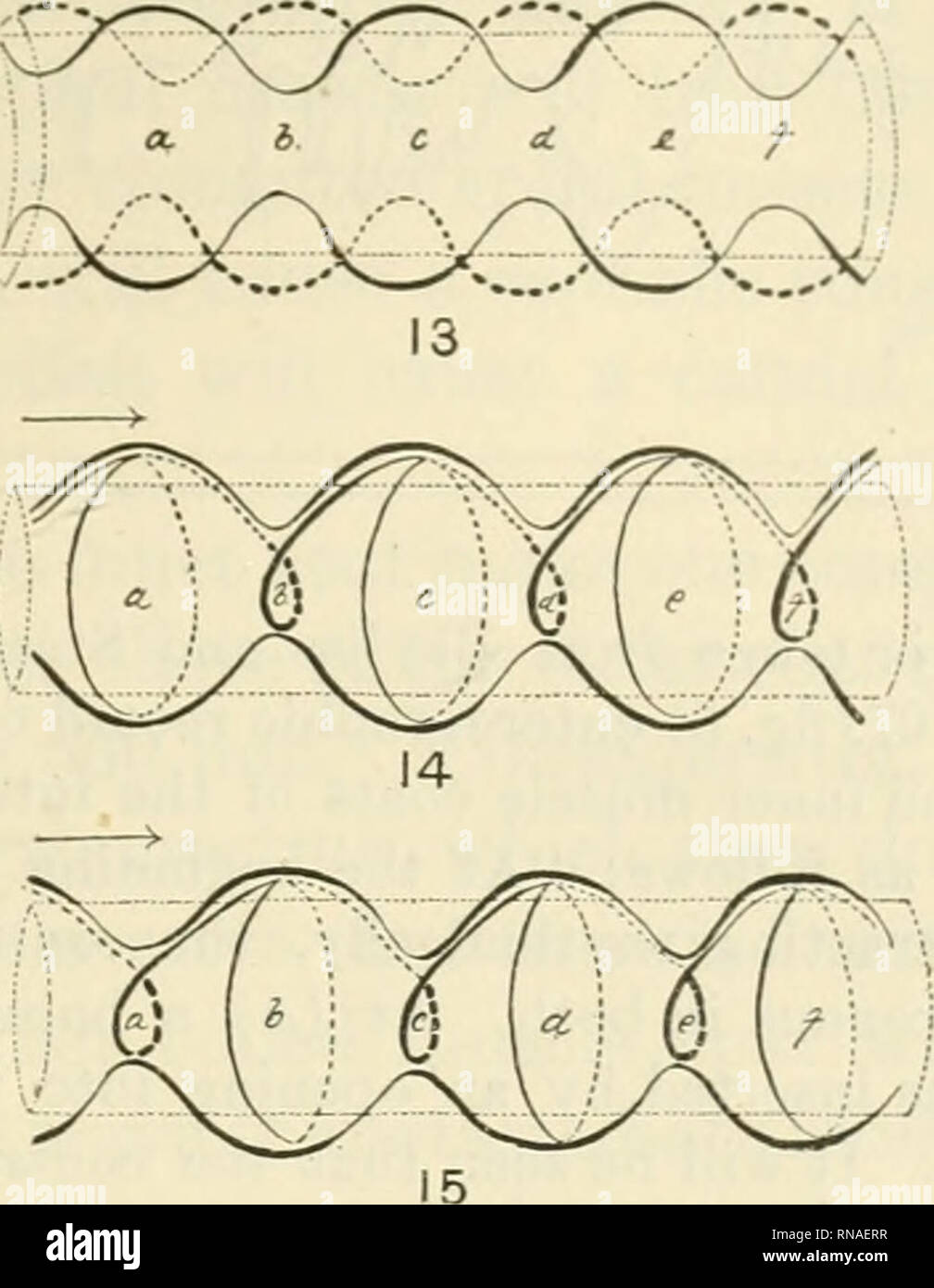 Reciprocal figures hi-res stock photography and images - Alamy