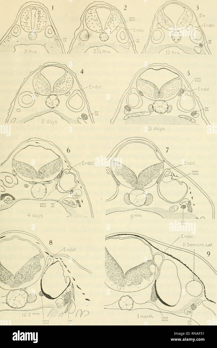 . The anatomical record. Anatomy; Anatomy. Figs. 1 to 9 Sections ...