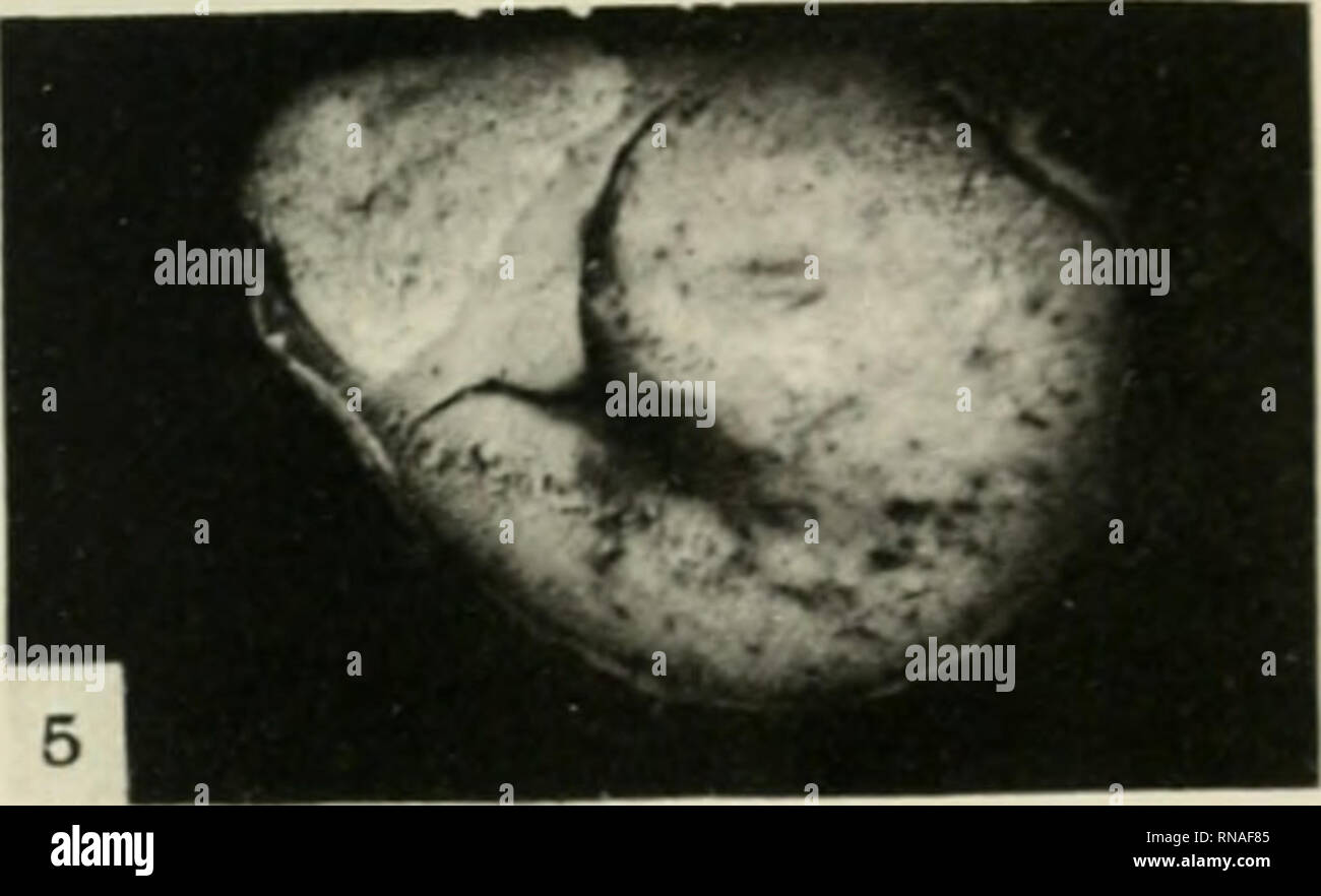 . The anatomical record. Anatomy; Anatomy. . Please note that these ...