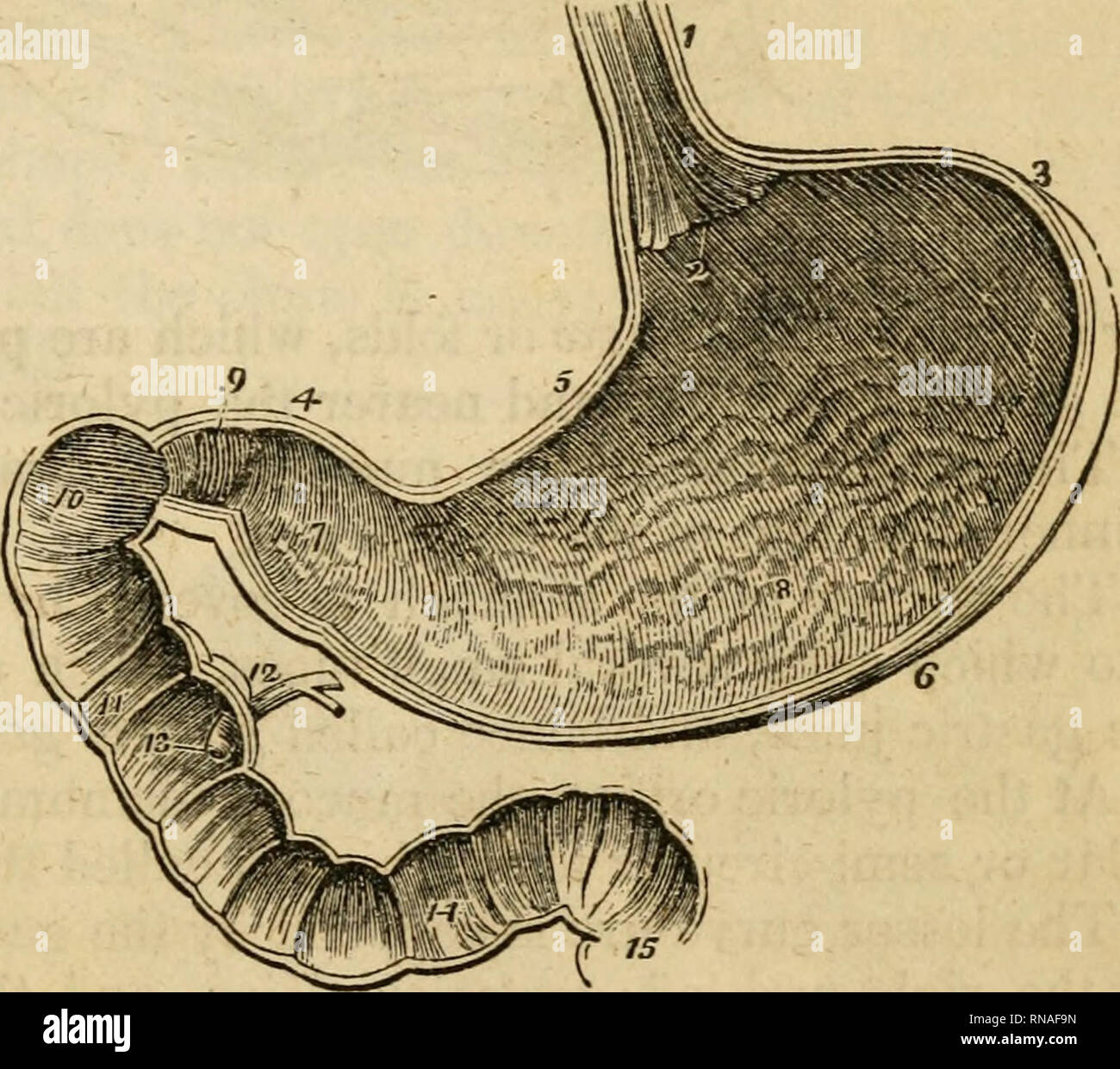 . An analytical compendium of the various branches of medical science ...