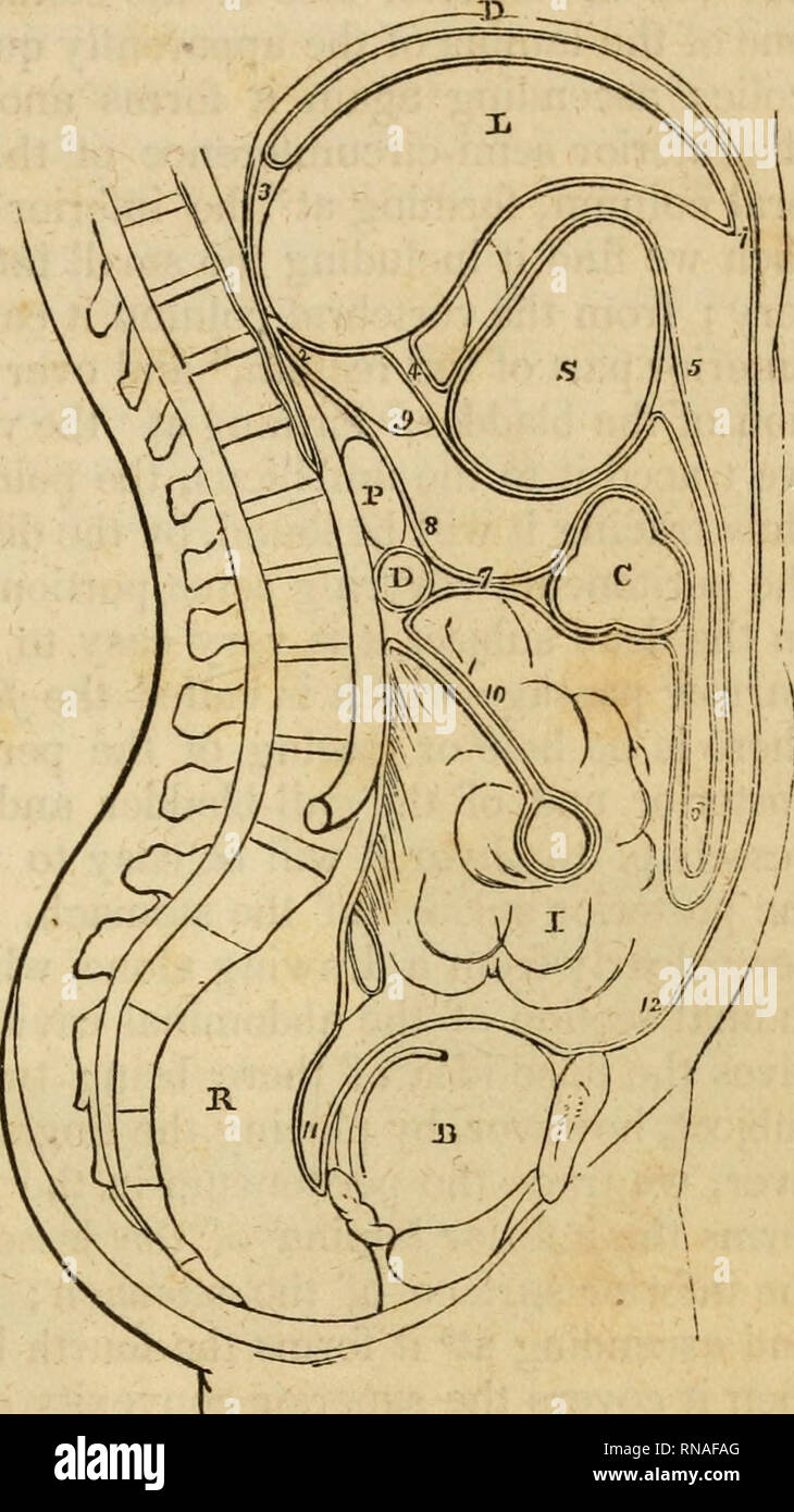 . An analytical compendium of the various branches of medical science ...