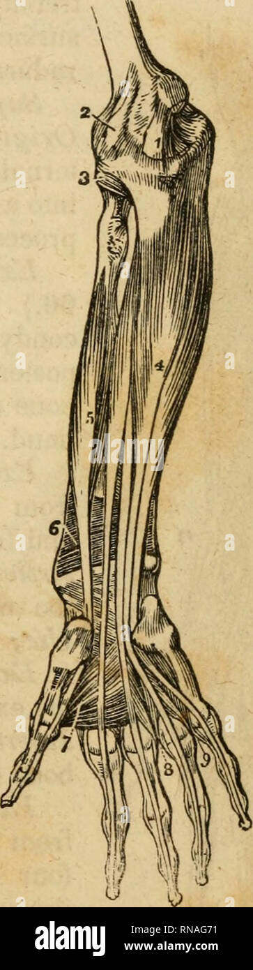 . An analytical compendium of the various branches of medical science ...
