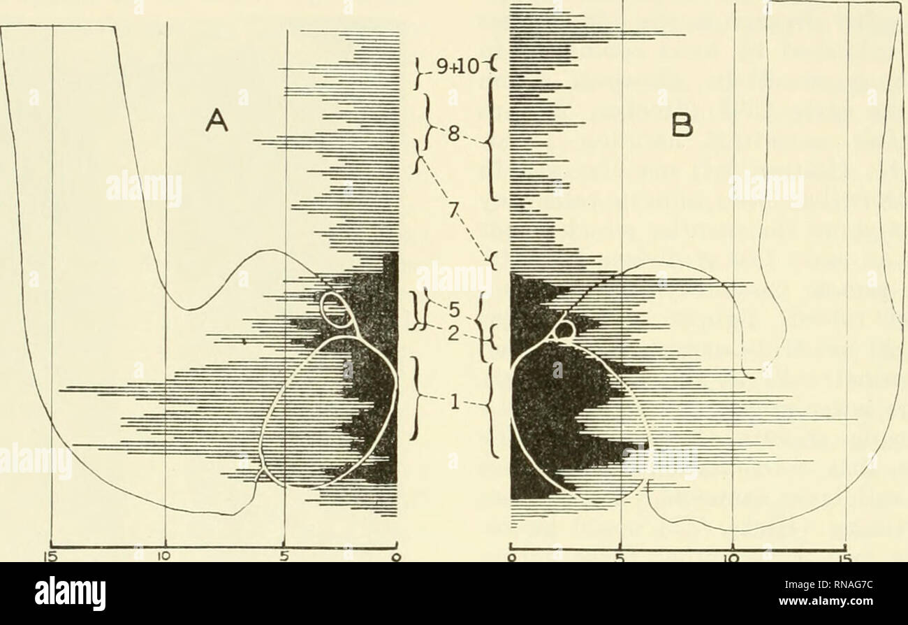 . Analysis of development. Embryology; Embryology. 374 Special ...