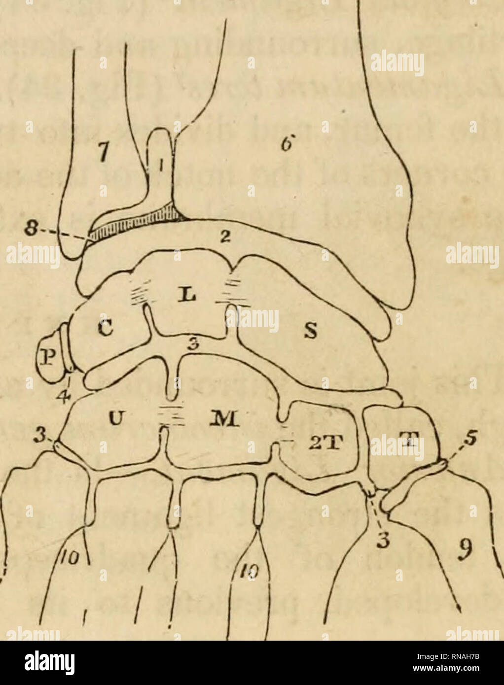 . An analytical compendium of the various branches of medical science ...