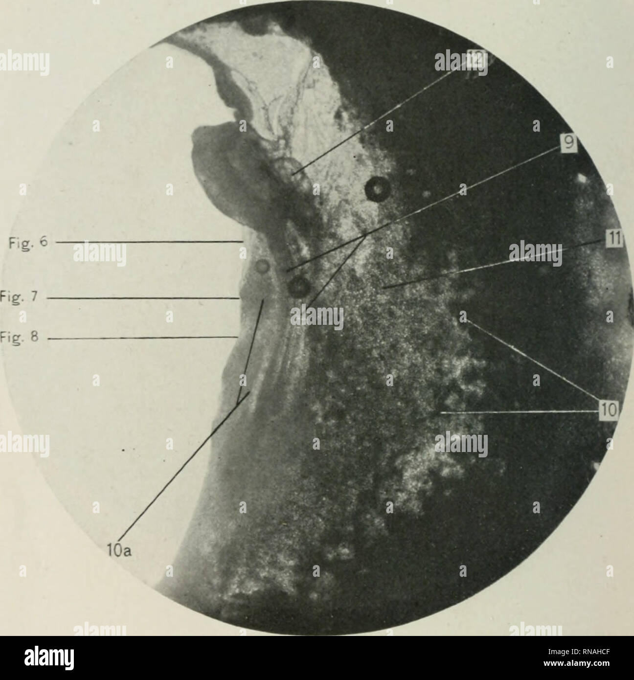 Bia miller hi-res stock photography and images - Alamy