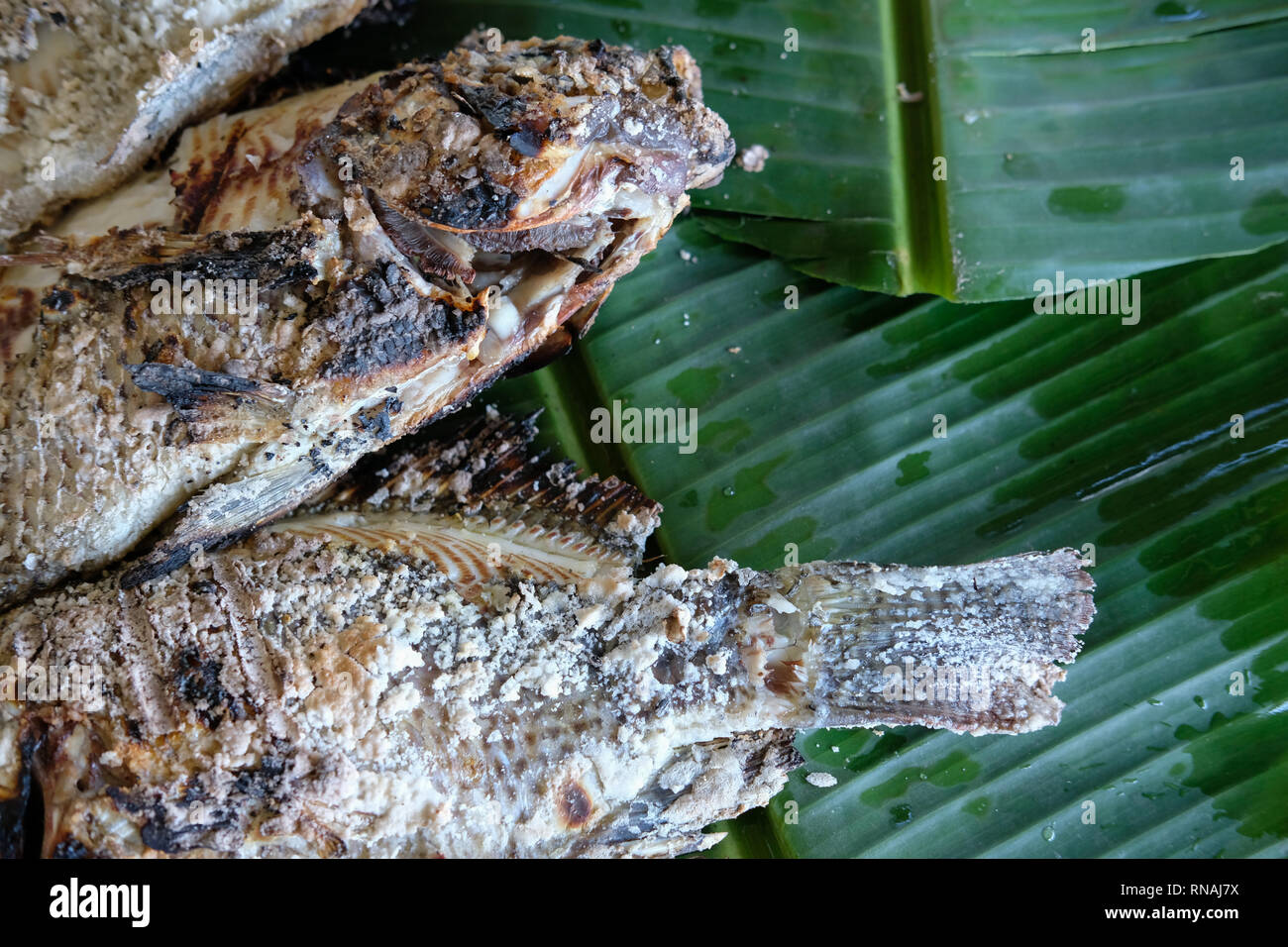 grilled roasted salted tilapia fish with salt Stock Photo - Alamy