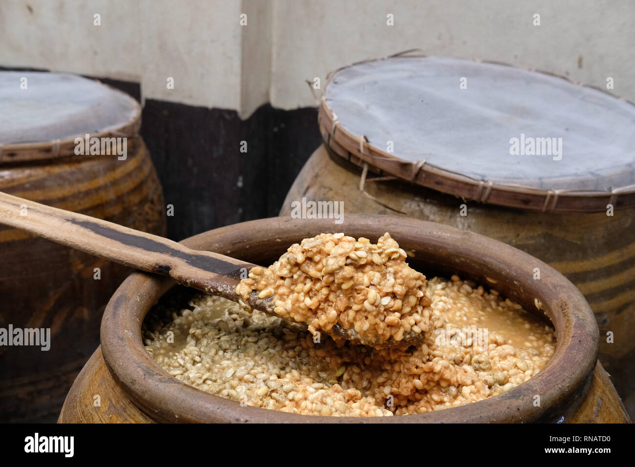 salted soybean paste fermented in jar. soy production Stock Photo - Alamy