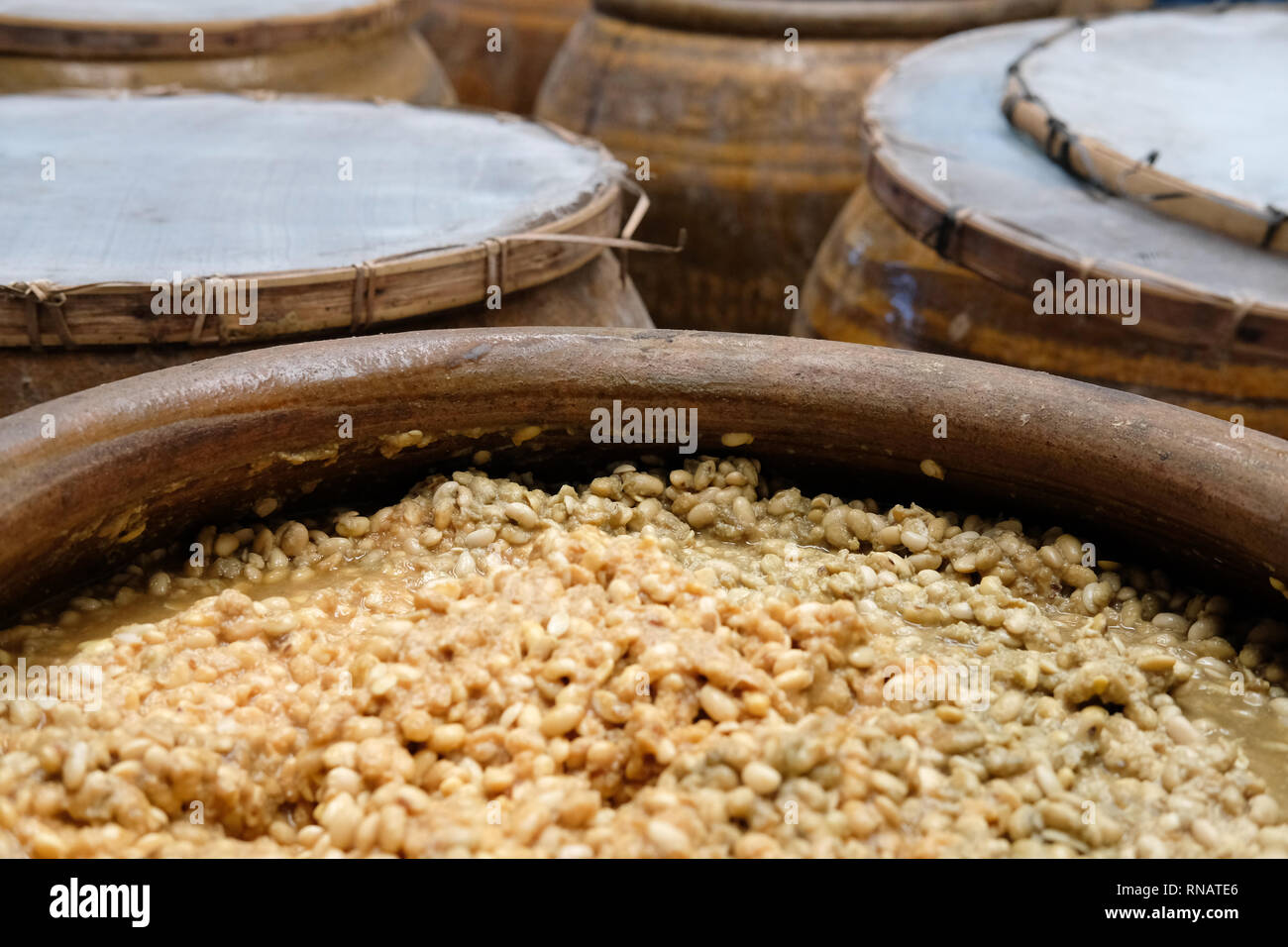 salted soybean paste fermented in jar. soy production Stock Photo - Alamy