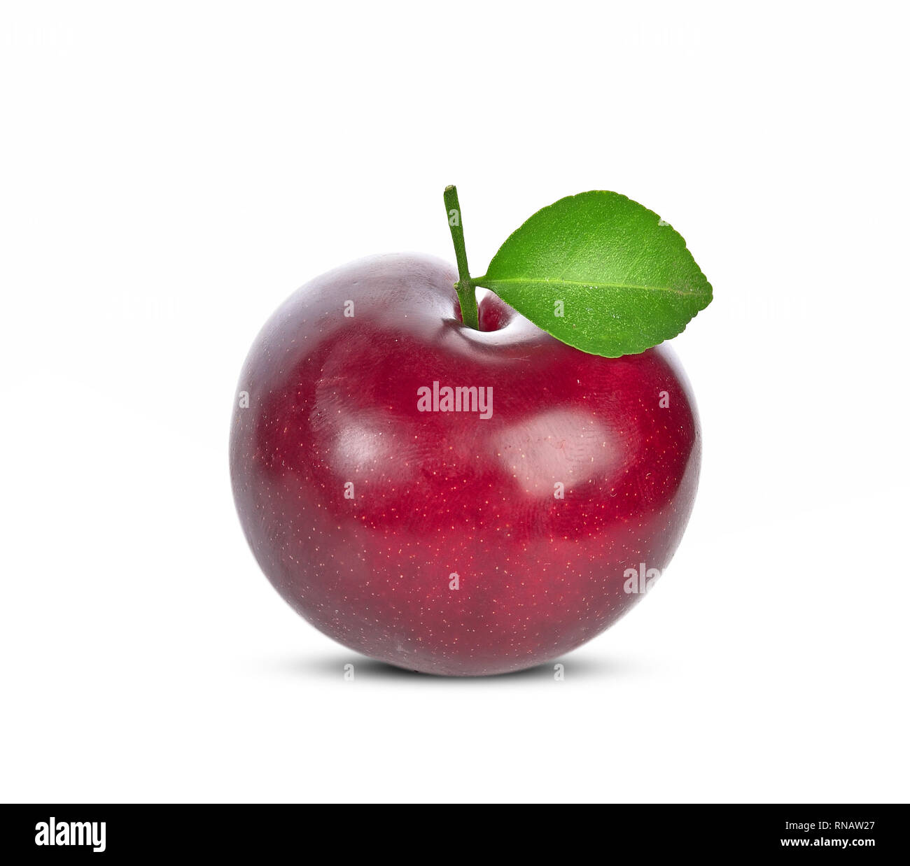 Red cherry plum hi-res stock photography and images - Alamy