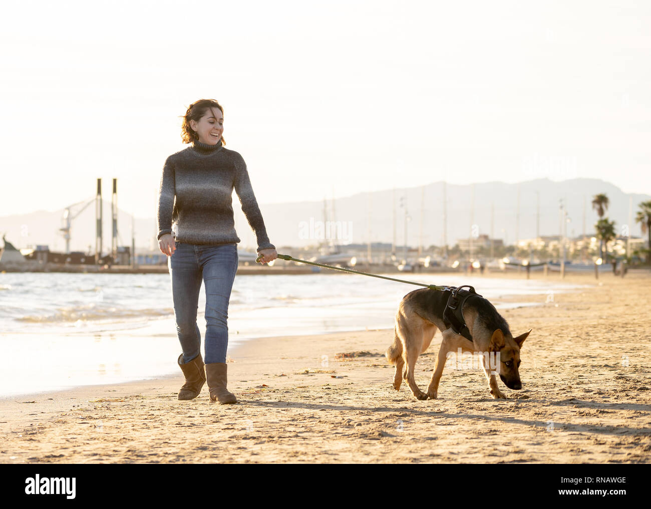Adult female german shepherd hi-res stock photography and images - Alamy
