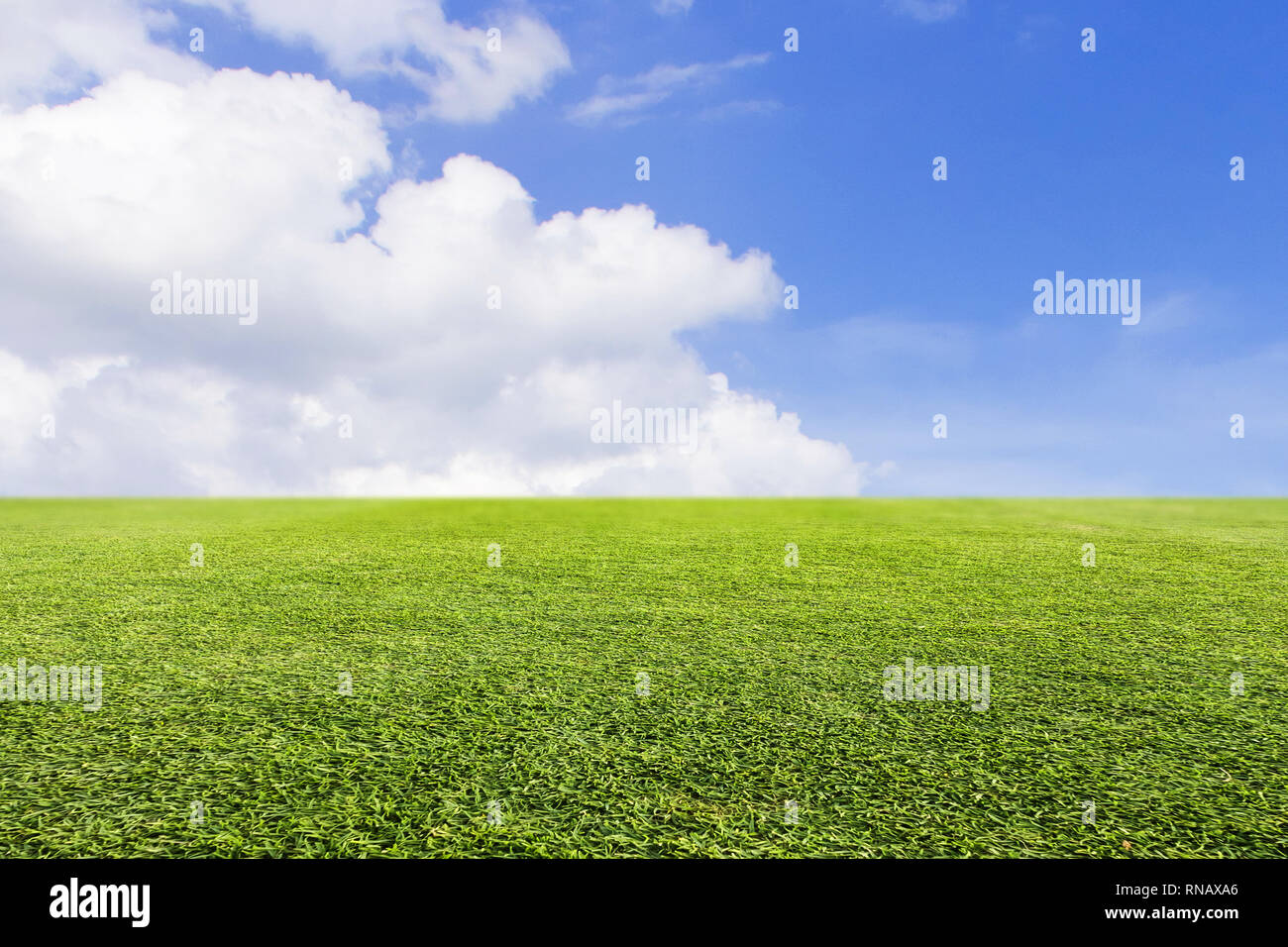 Green lawn and sky background Stock Photo - Alamy