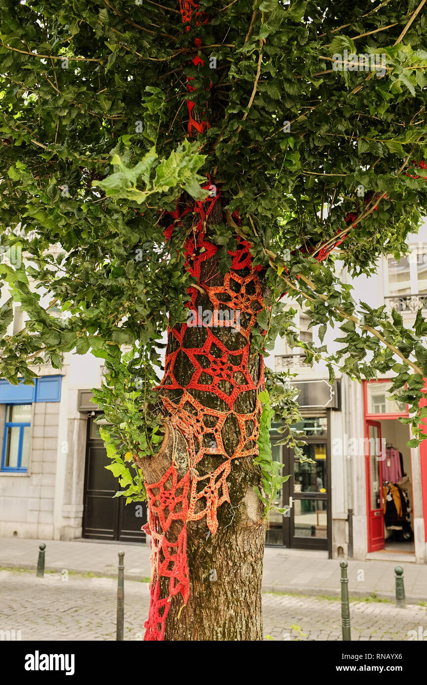 Knitted trunks hi-res stock photography and images - Alamy