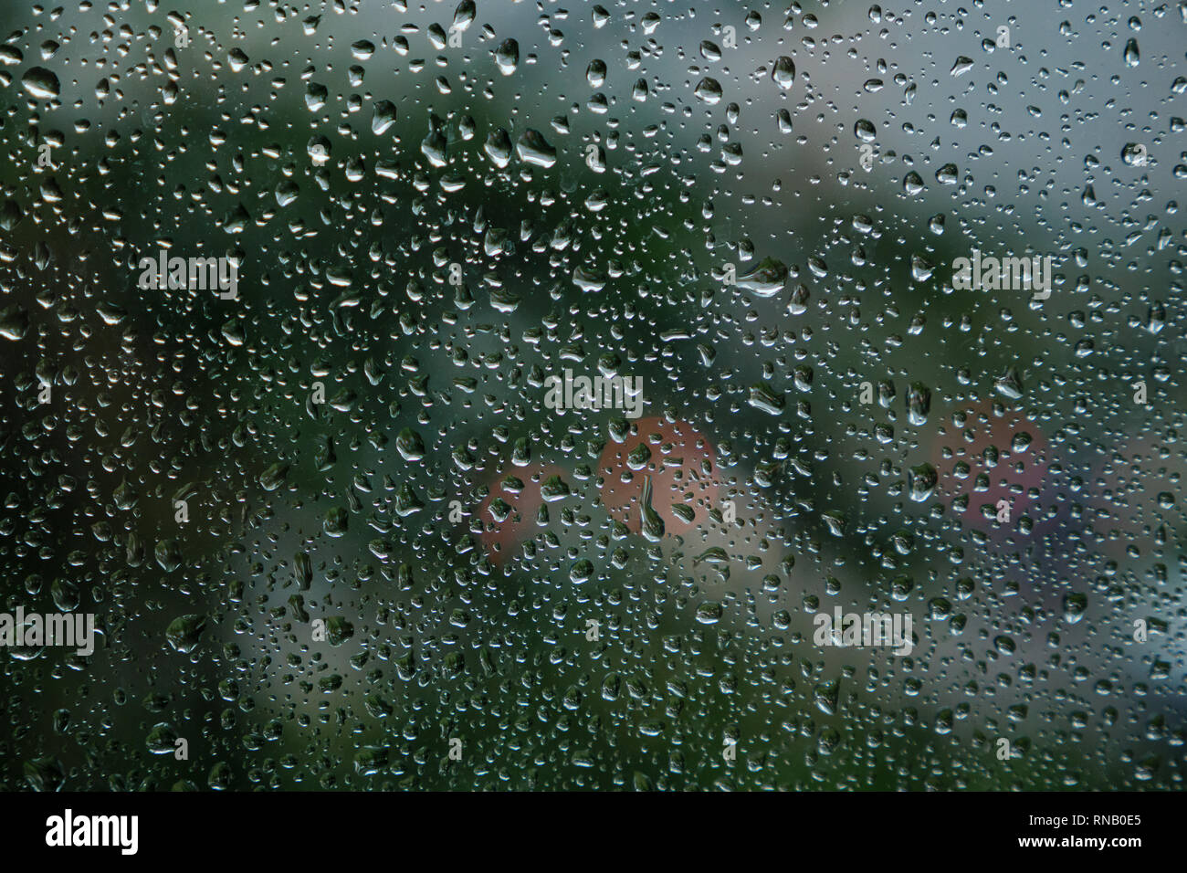 Rain drops on window glasses surface with green tree background Stock ...