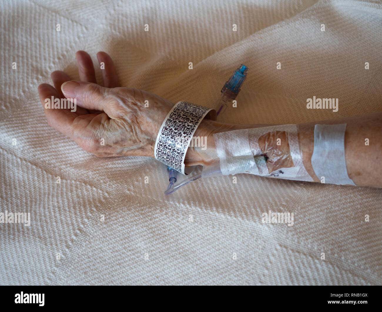 Patient's left arm with QR code identification bracelet and intravenous ...