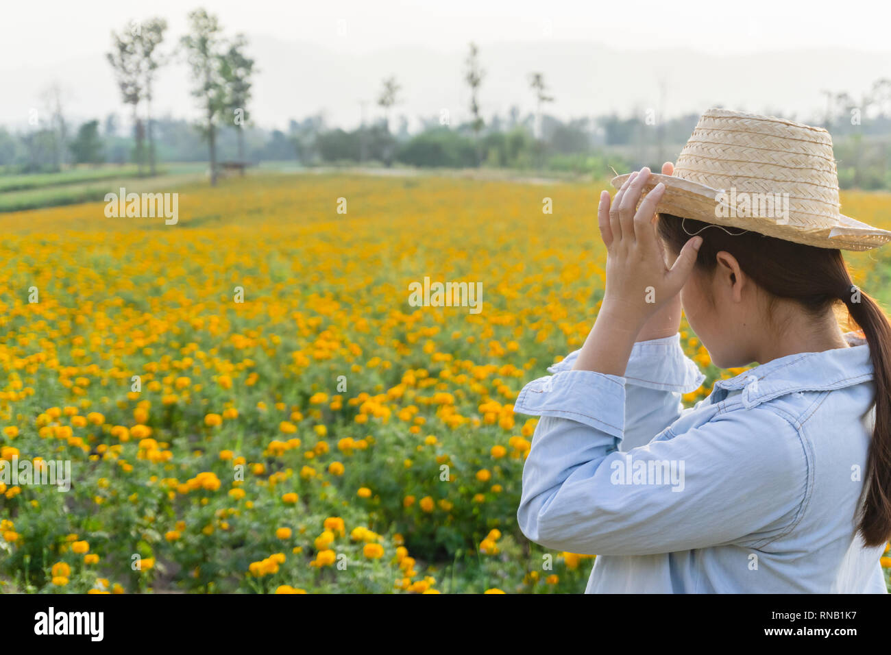 Girl watching yellow marigold flowers Stock Photo - Alamy