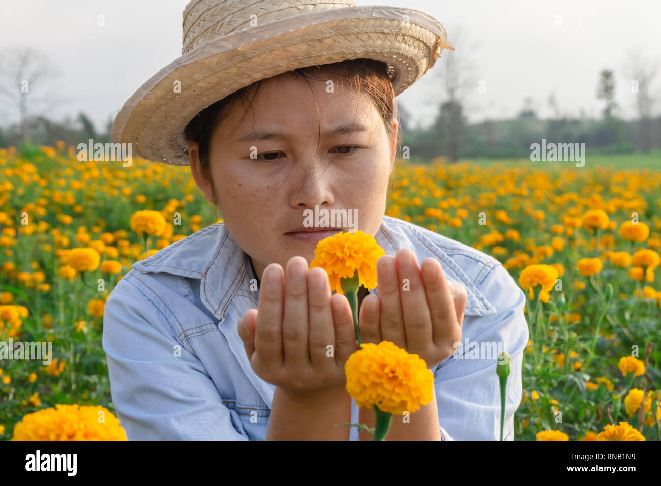 Girl watching yellow marigold flowers Stock Photo - Alamy