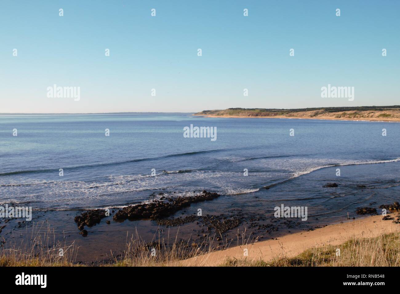 Australian sea shore early morning Stock Photo - Alamy