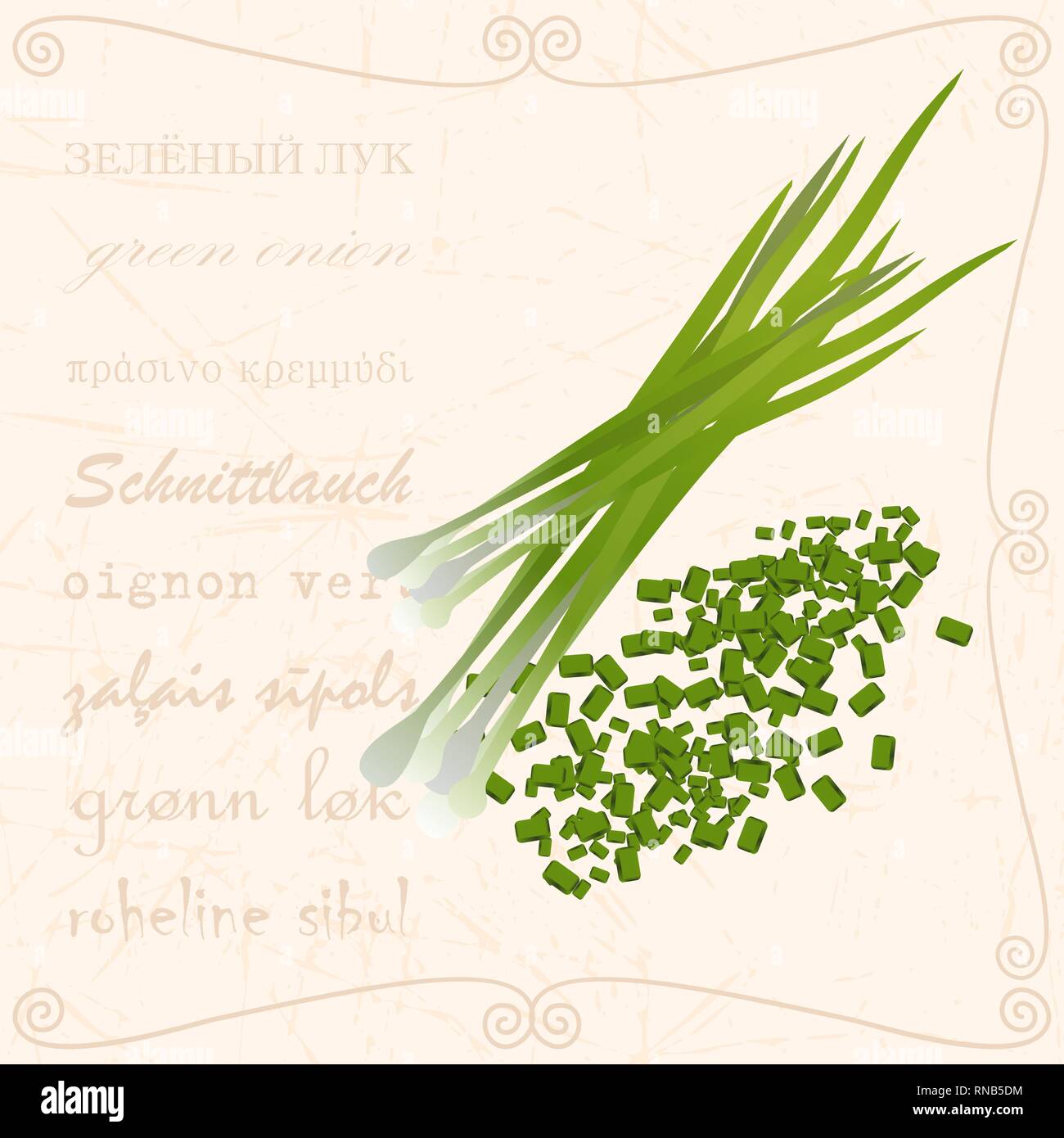 Vector logo for rowing club red and blue Stock Vector Image & Art - Alamy