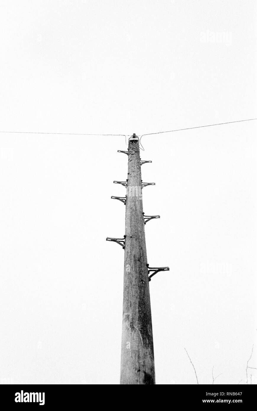 Ladder and telegraph pole hi-res stock photography and images - Alamy