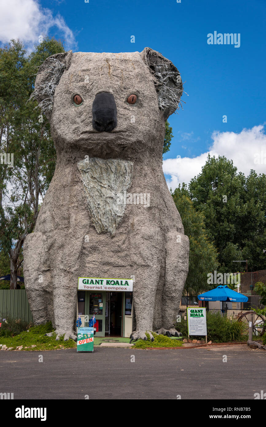The Giant Koala, one of the "big things" – Dadswells Bridge, Victoria ...