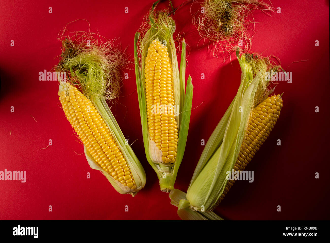 Fresh corn cobs above Stock Photo - Alamy