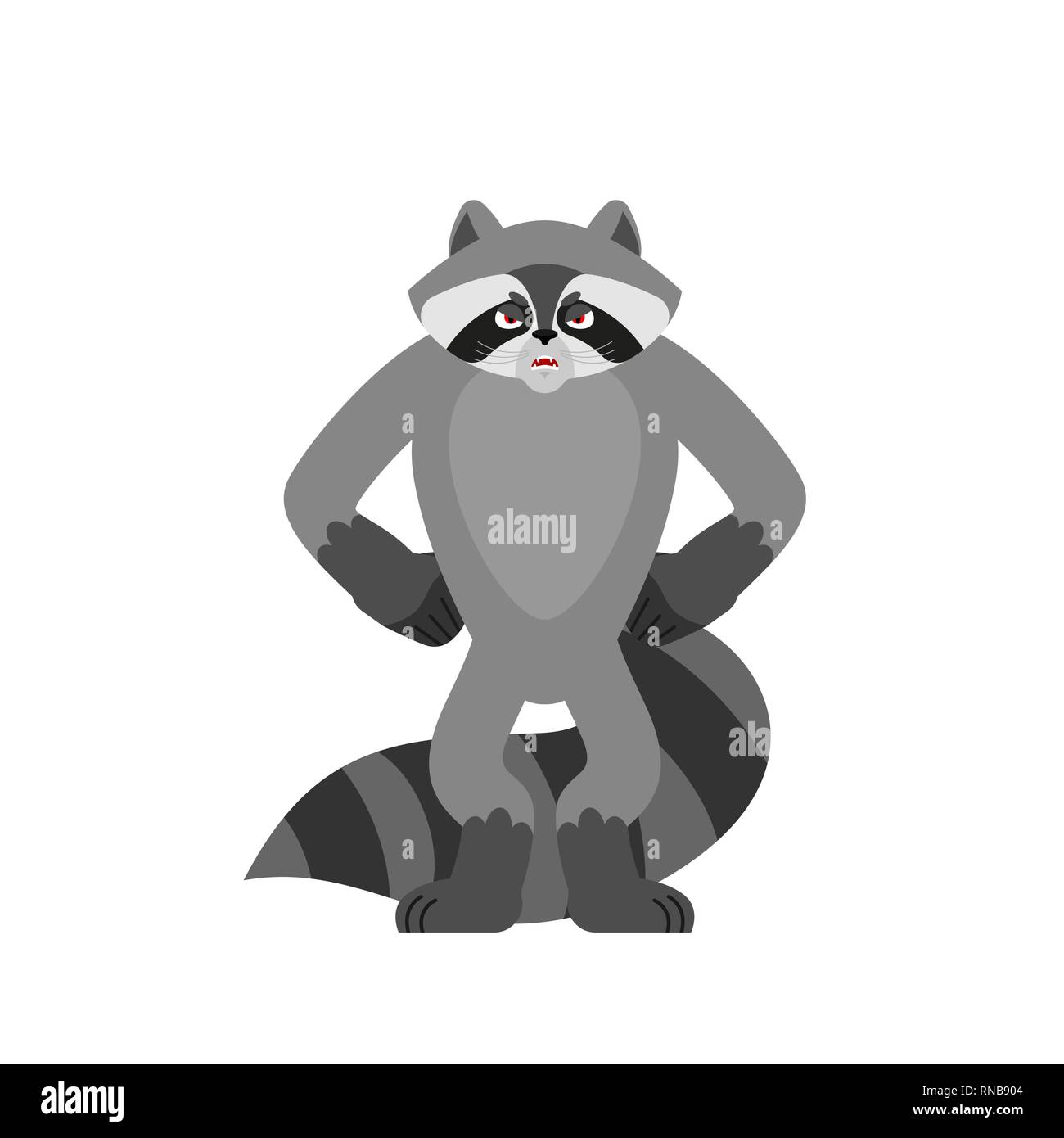 Raccoon angry. Racoon evil emotions avatar. Coon aggressive. Vector ...
