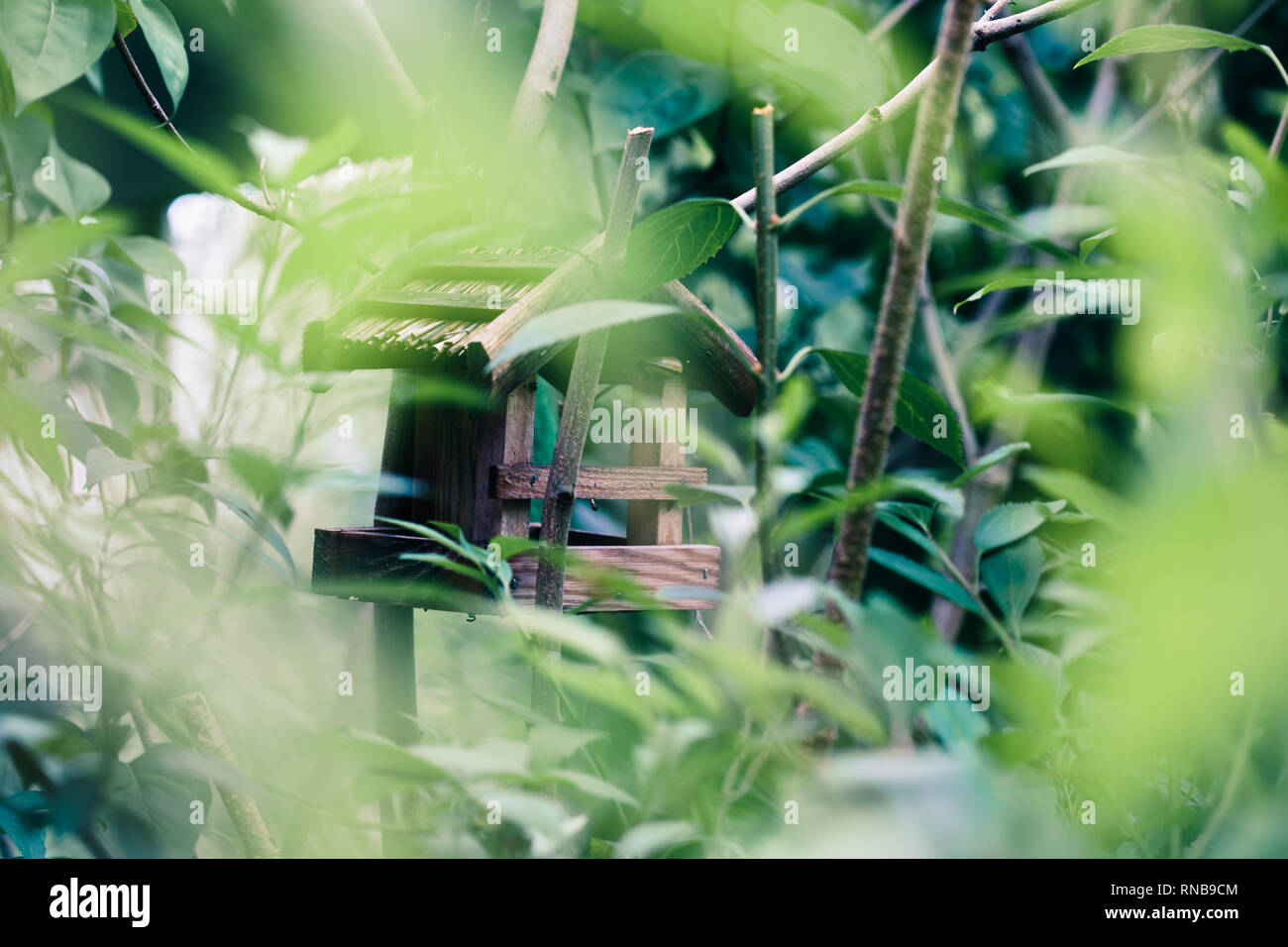 Bird house on a tree among the green leaves in springtime. Shelter and ...