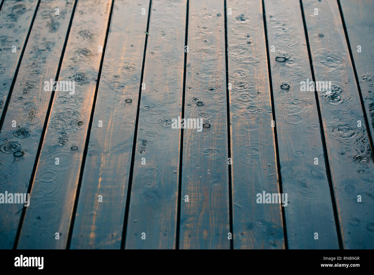 Closeup of wood planks while raining in perspective. Background of ...