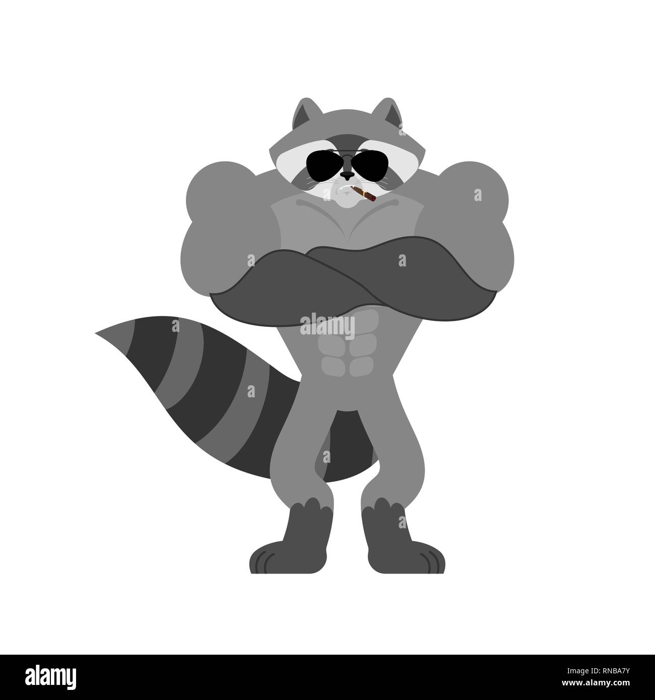 Raccoon Strong Cool serious. Racoon smoking cigar emoji. Coon strict ...