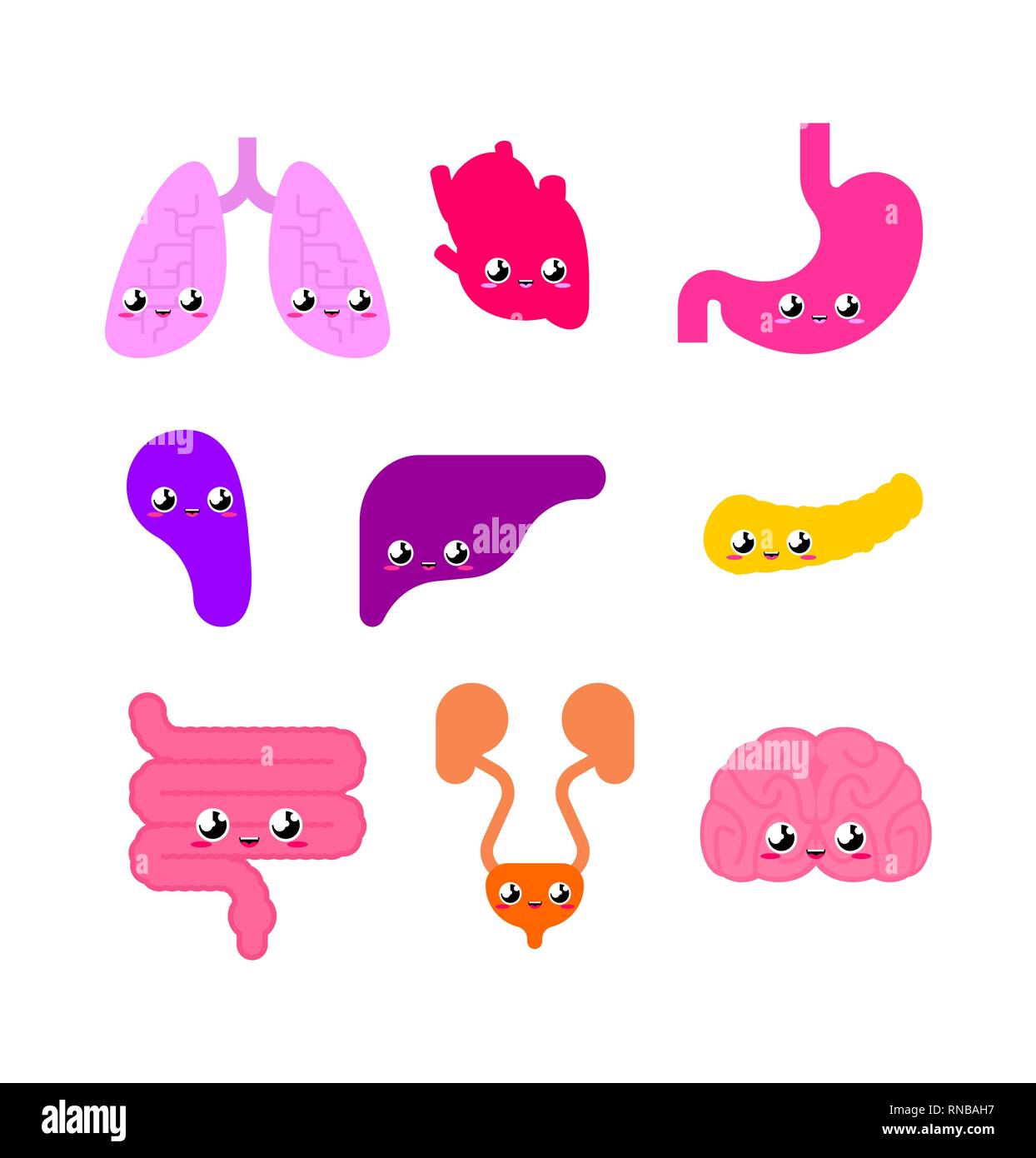 Internal organ Cute set. Anatomy of human body cartoon style. Heart and ...