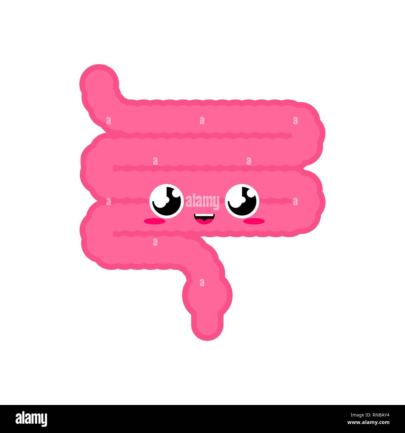 intestines Cute. funny internal organ cartoon style. Human anatomy kids ...